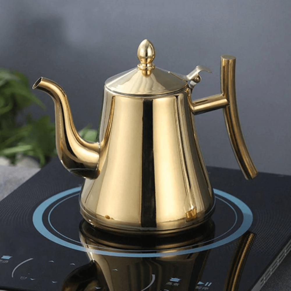 Premium Induction Stainless Steel Kettle – Modern Pour Over Design for ...