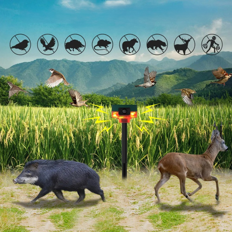 Solar-powered bird deterrent with flashing light – Kidiora
