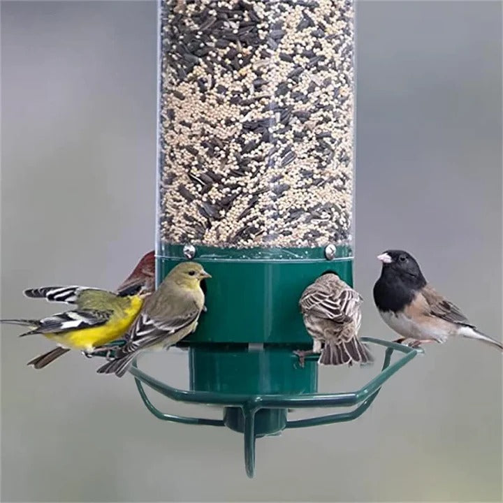 AvianGuard | Heavy-Duty Predator-Proof Bird Feeder with Metal Cage ...